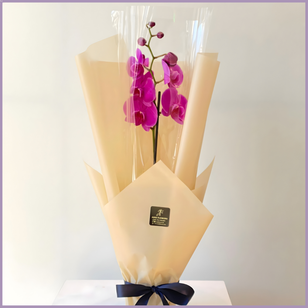 Purple Orchid Wrapped with Bow | Luxury Flower Delivery in Bahrain ...